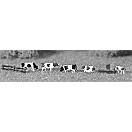 Noch - Animals - Cows - 528-43740