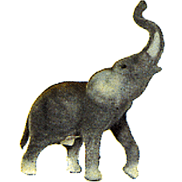 AristoCraf - Flocked Animal - Baby Elephant - 614-66002