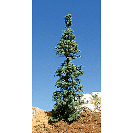 Timberline - Grow-A-Tree (Smashed Trees) - Kit - Timberline Green 4-6 ...