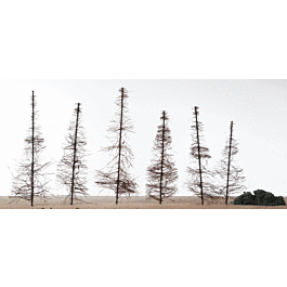 Timberline - Grow-A-Tree/Smashed Tree w/Fine Flocking - Kit - Deep ...