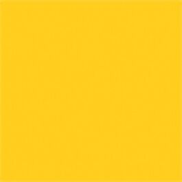 Testor - Model Master FS Enamels - 1/2oz 14.8mL - (FS 33538) Insignia ...