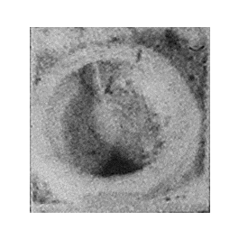 Westerfld - Poling pocket f/hopper 4/ - 783-2139