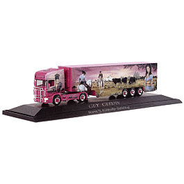 Herpa - Private Collection European Trucks - Scania TL 2-Axle Cabover ...