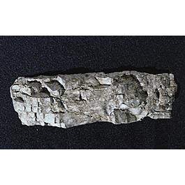 Woodland - Rock Molds - Facet Rock - 785-1244