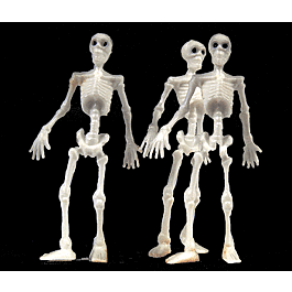 Senic Exp - Skeleton "Mr. Bones" - 653-1507