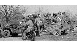 Figure - Military - Layout - Shop All Departments