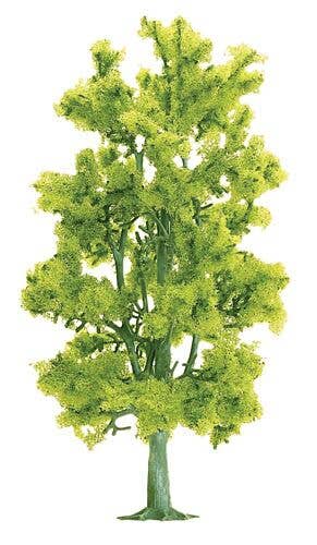 deciduous tree beginning with e