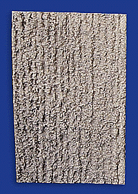 Pre-Size - Disked Field - 35 x 53' - 483-231