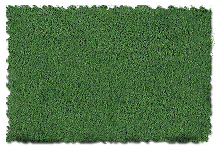 Senic Exp - Flock & Turf 32 oz - Grass Green - Fine - 653-805B