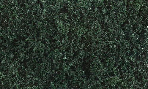 dark forest ground texture