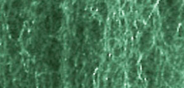 JTT - Foliage Fiber Cluster - Coarse Dark Green 150 Square Inches - 373 ...