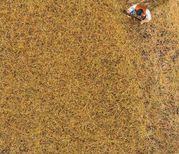 Faller - Ground Cover/Flocking - Premium - Hay - 1oz 30g - 272-170775