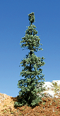 Timberline - Grow-A-Tree (Smashed Trees) - Kit - Timberline Green 4-6 ...