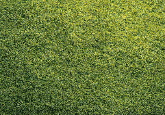 Faller - Mini Ground Mat - Wild Grass - Dark Green - 272-180792
