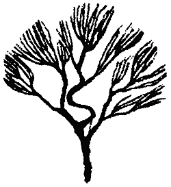 AMSI - Oak Tree Structure Kit - Large - 137-102