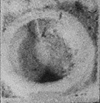 Westerfld - Poling pocket f/hopper 4/ - 783-2139