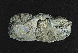Woodland - Rock Molds - Washed Rock - 785-1242