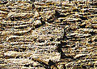 Faller - Rock Wall - Stratified Rock - 272-794