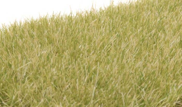 Woodland - Static Grass - Field System - Light Green 1/4" 7mm Fibers ...
