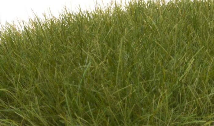 Woodland - Static Grass - Field System - Dark Green - 1/2" 12mm Fibers ...
