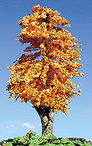 Timberline - Trees - Deciduous 3-5" Harvest Dawn - 710-217
