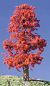 Timberline - Trees - Deciduous 3-5" Indian Summer - 710-223